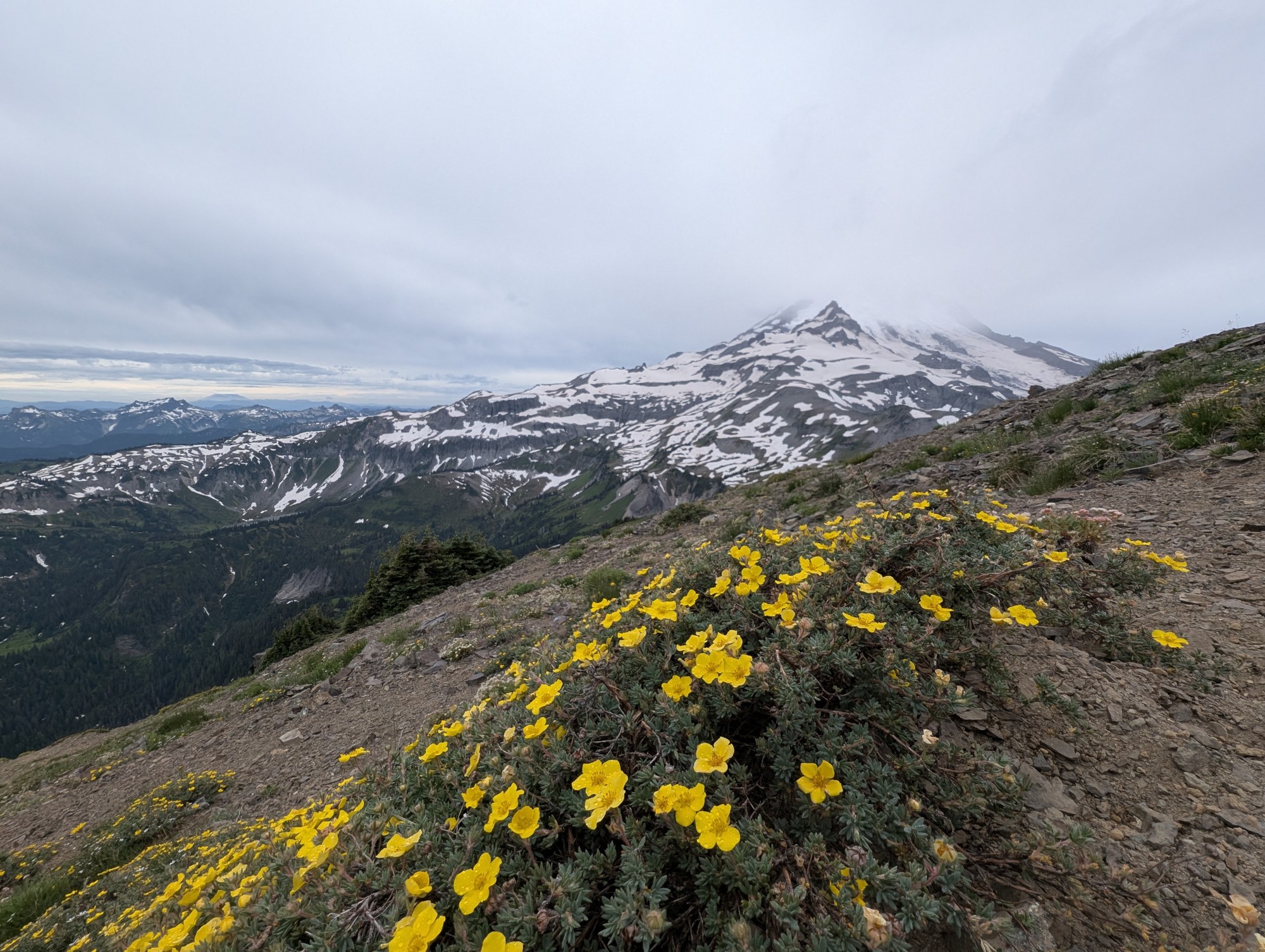 Alpine Scramble - Banshee Peak & Cowlitz Chimneys — The Mountaineers