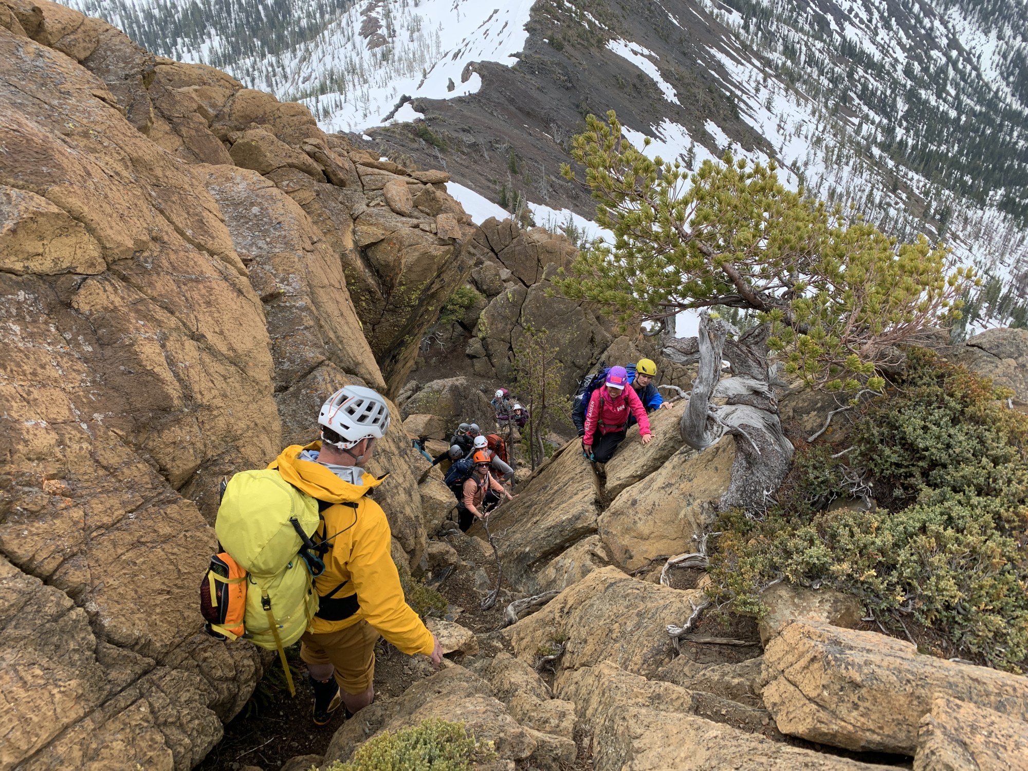 Alpine Scramble - Bean Creek Basin — The Mountaineers