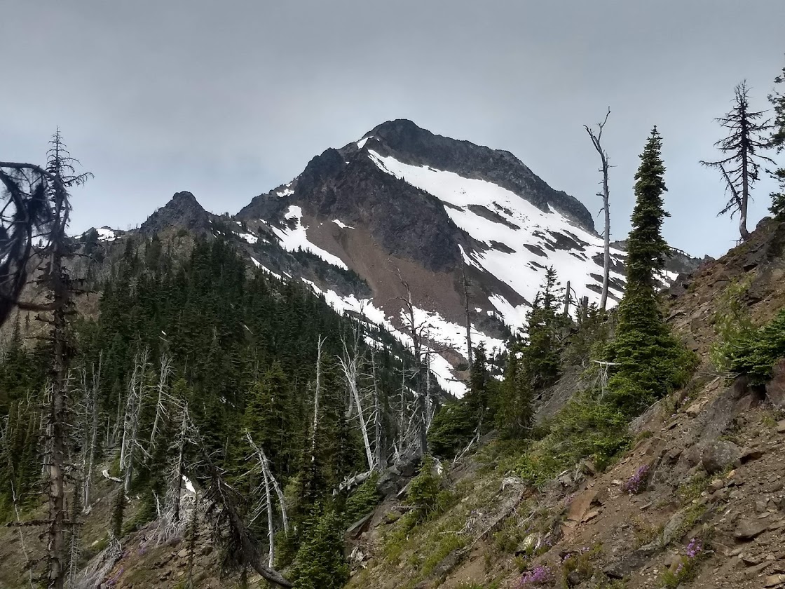 Alpine Scramble - Mount David — The Mountaineers