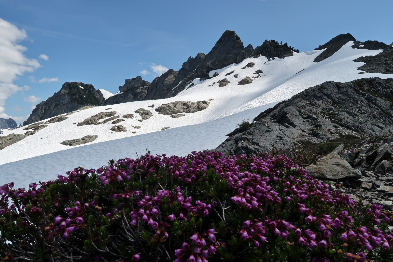 Alpine Scramble - Mount Watson — The Mountaineers