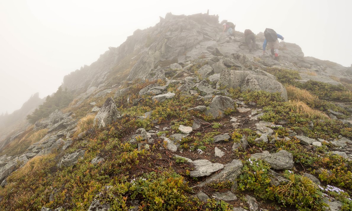 Alpine Scramble - Putrid Pete's Peak & Web Mountain — The Mountaineers