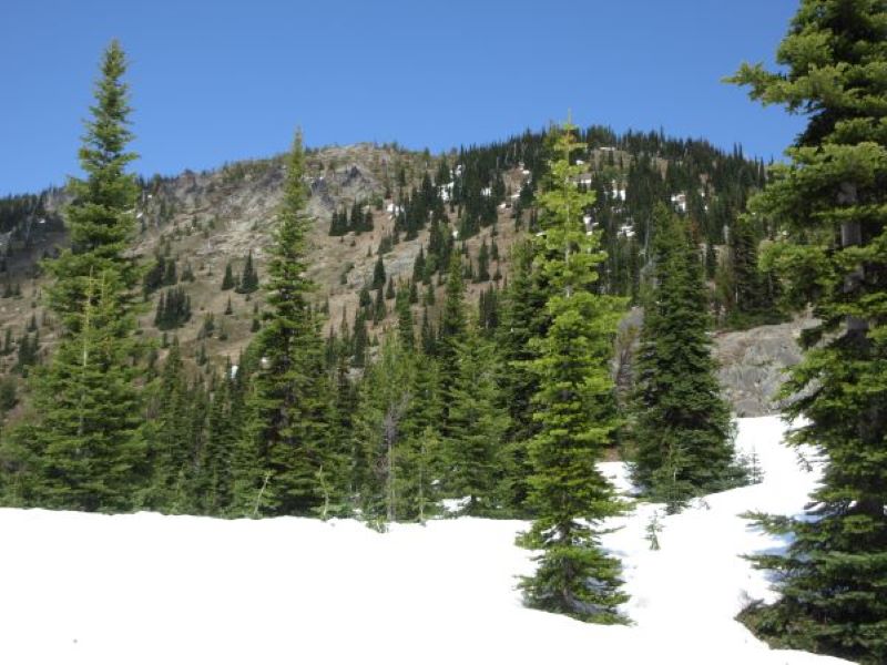 Alpine Scramble - Silver King — The Mountaineers