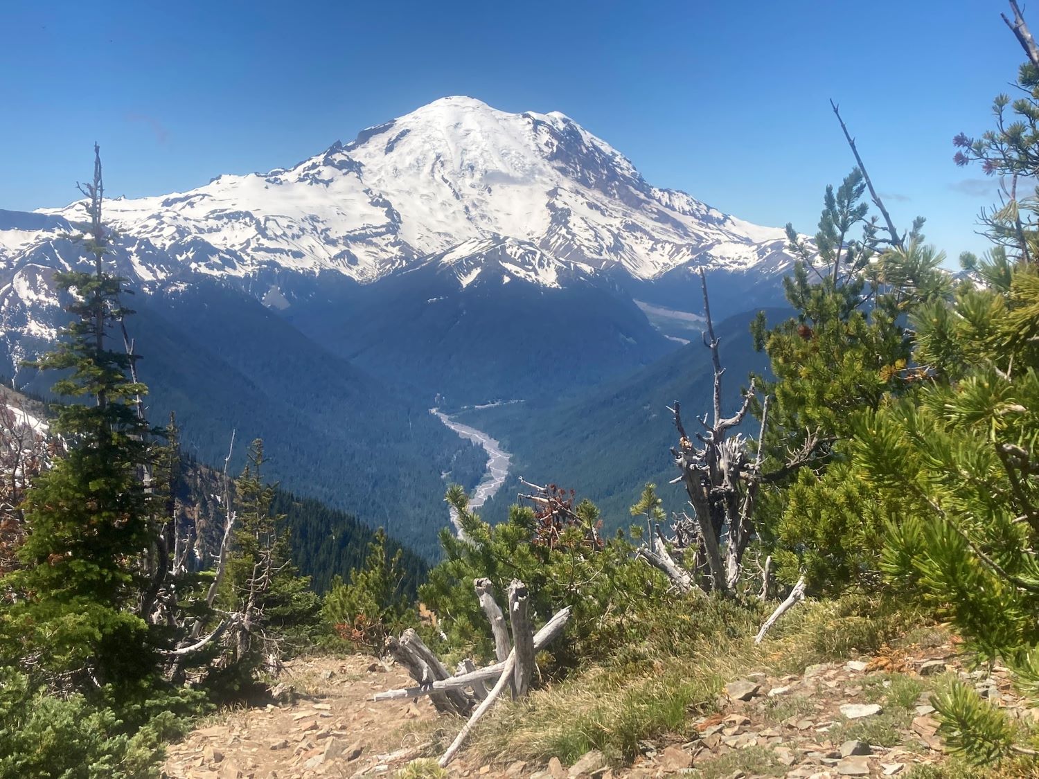 Alpine Scramble - Silver King — The Mountaineers