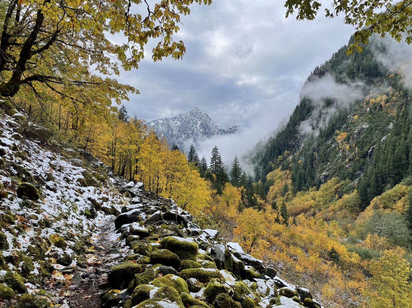 Alpine Scramble - Stillaguamish Peak — The Mountaineers