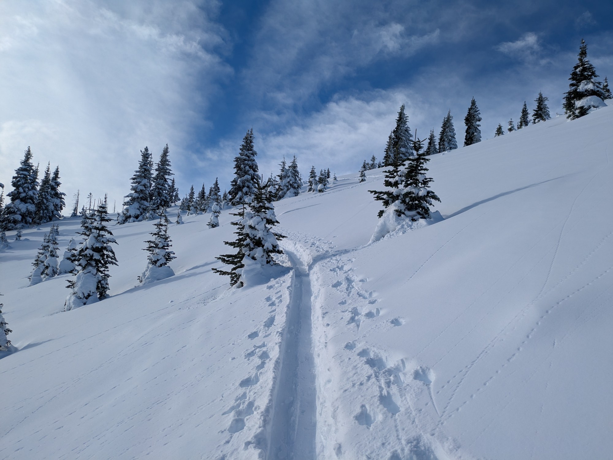 Backcountry Ski/Snowboard - Bullion Basin & Bear Gap — The Mountaineers