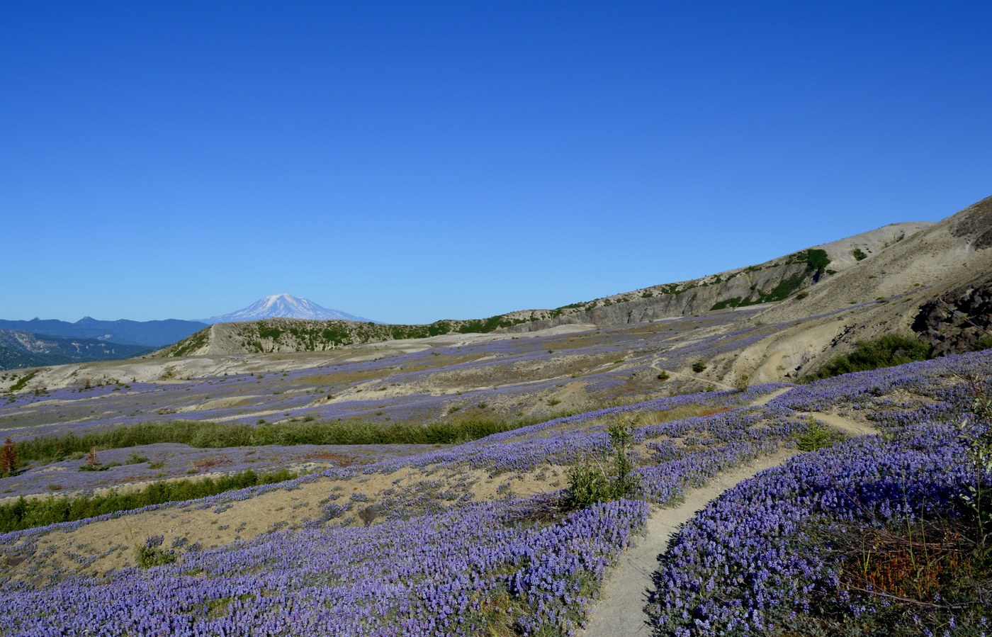 Backcountry Trail Run - Ape Canyon — The Mountaineers