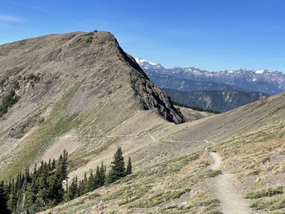 Backcountry Trail Run - Grand Ridge (Olympics) — The Mountaineers
