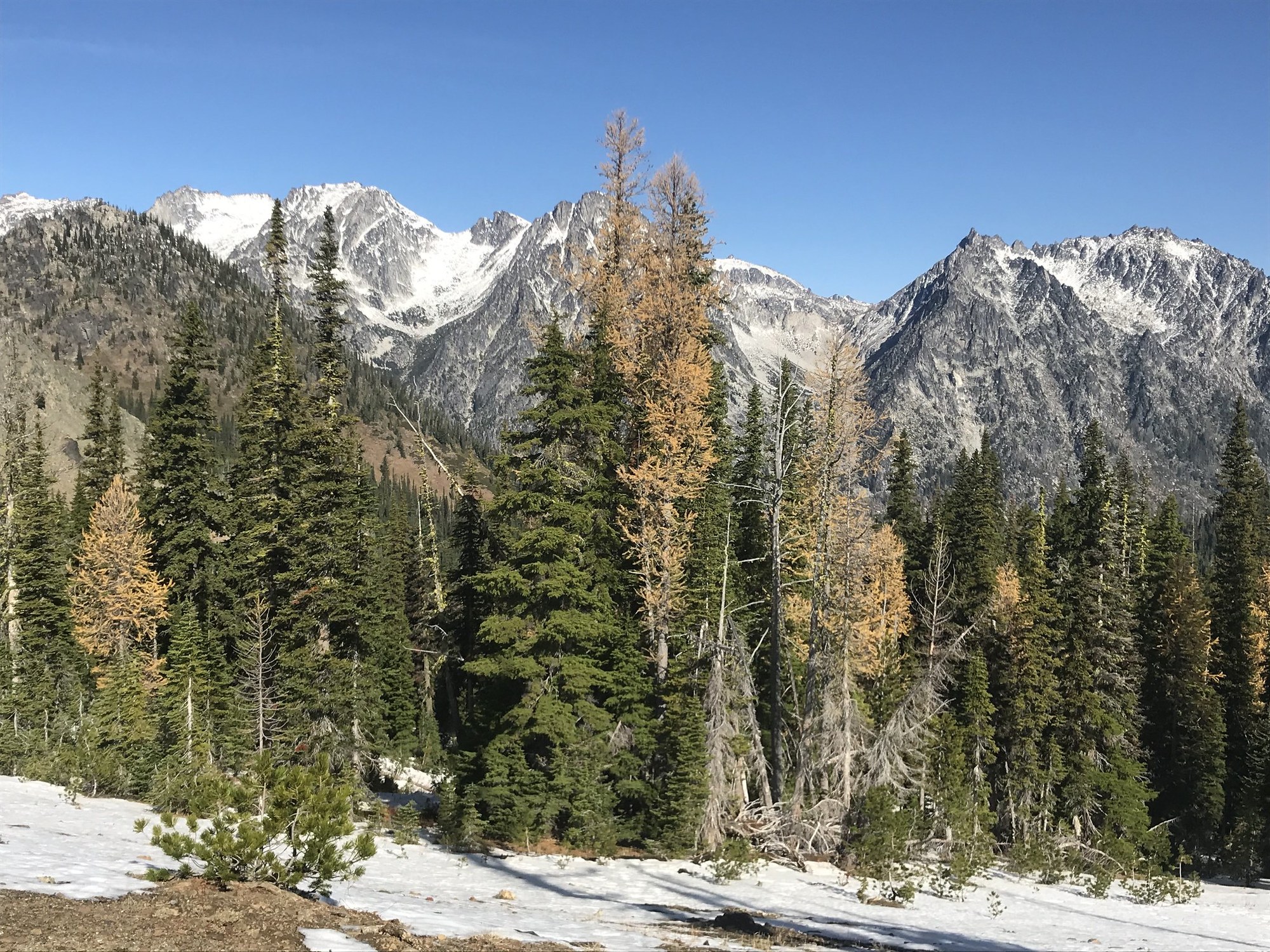 Backcountry Trail Run - Navaho Pass — The Mountaineers