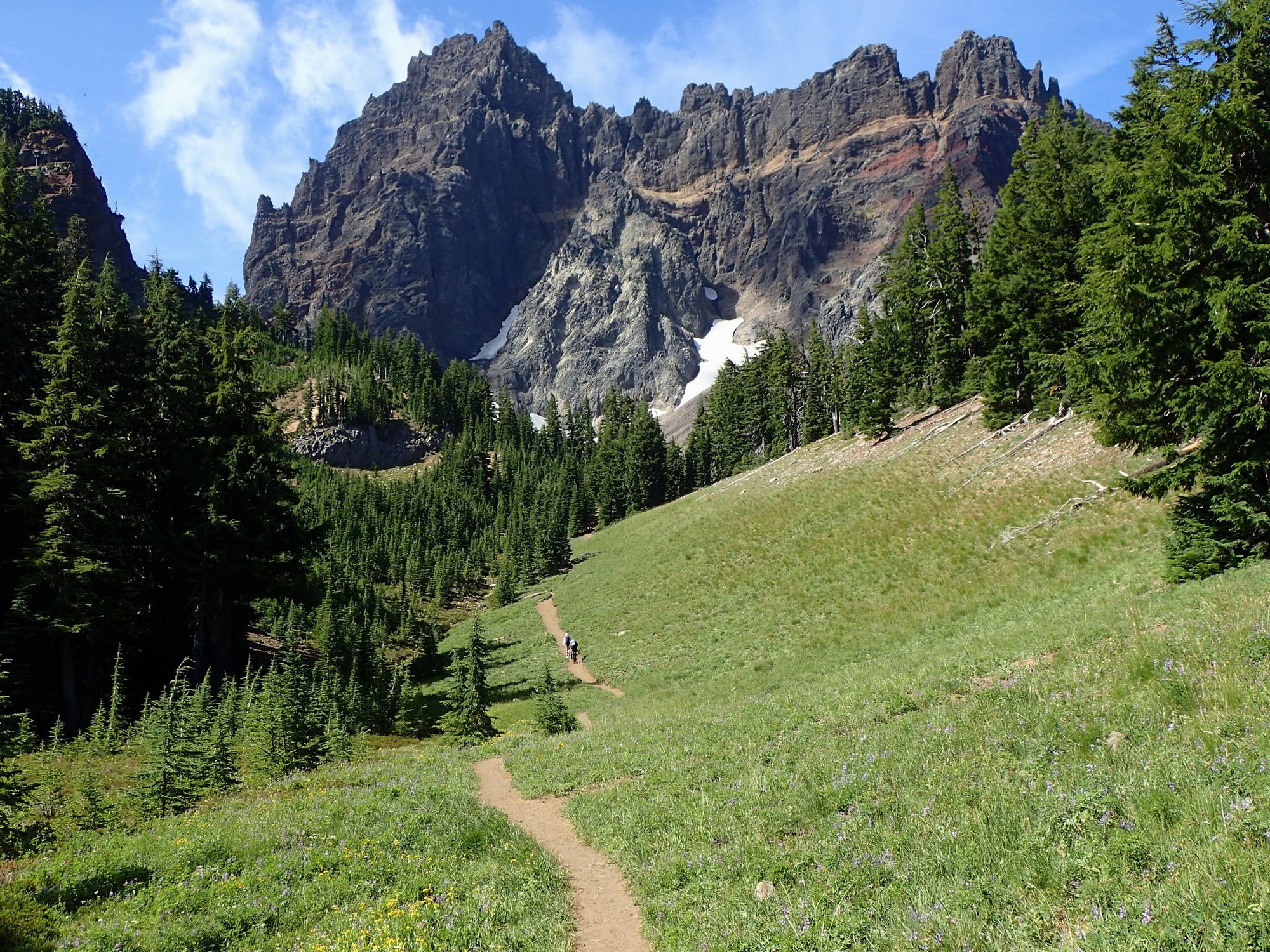 Backcountry Trail Run - Three Fingered Jack/South Ridge — The Mountaineers