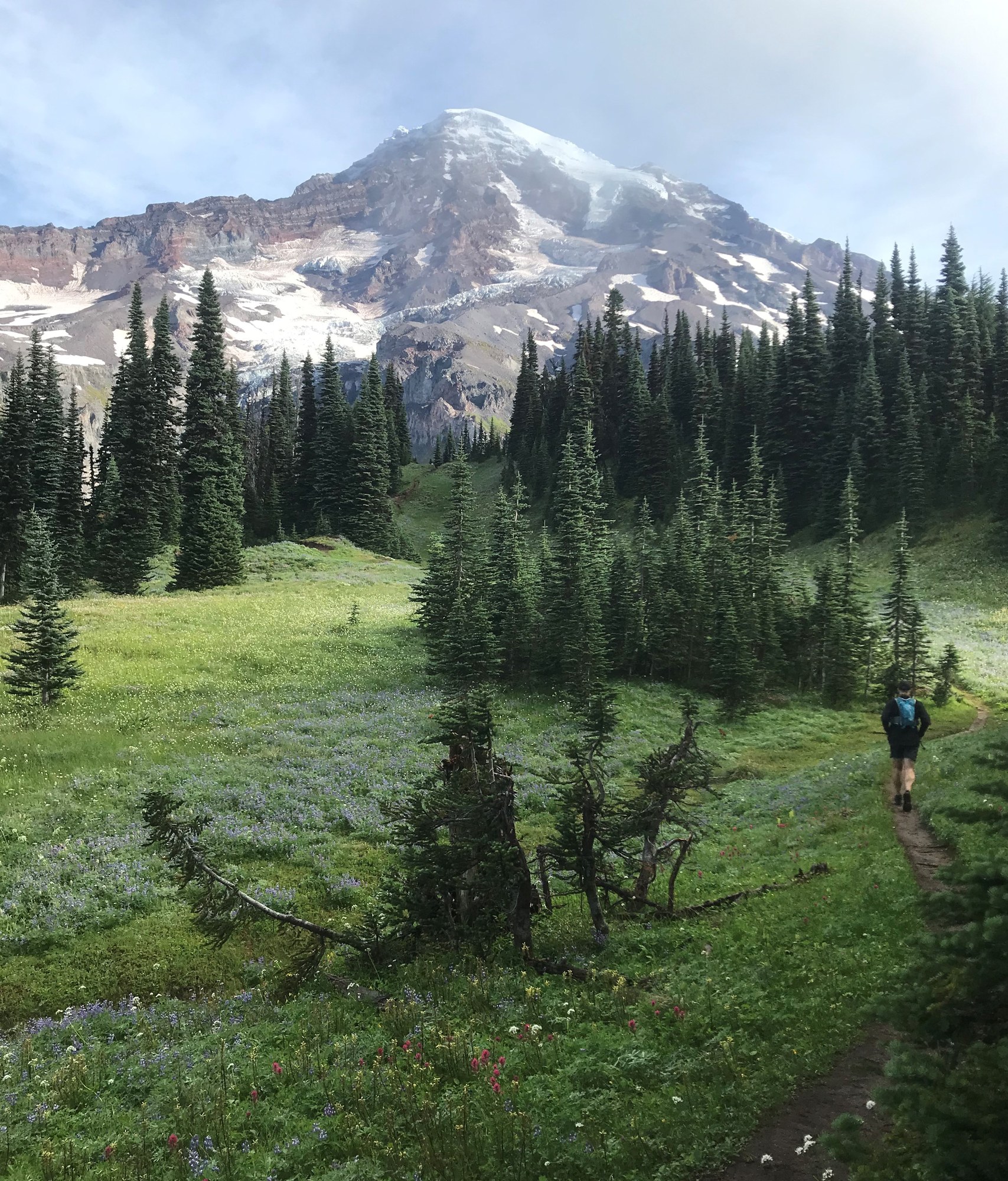 Backcountry Trail Run - Van Trump Park & Rampart Ridge Loop — The ...