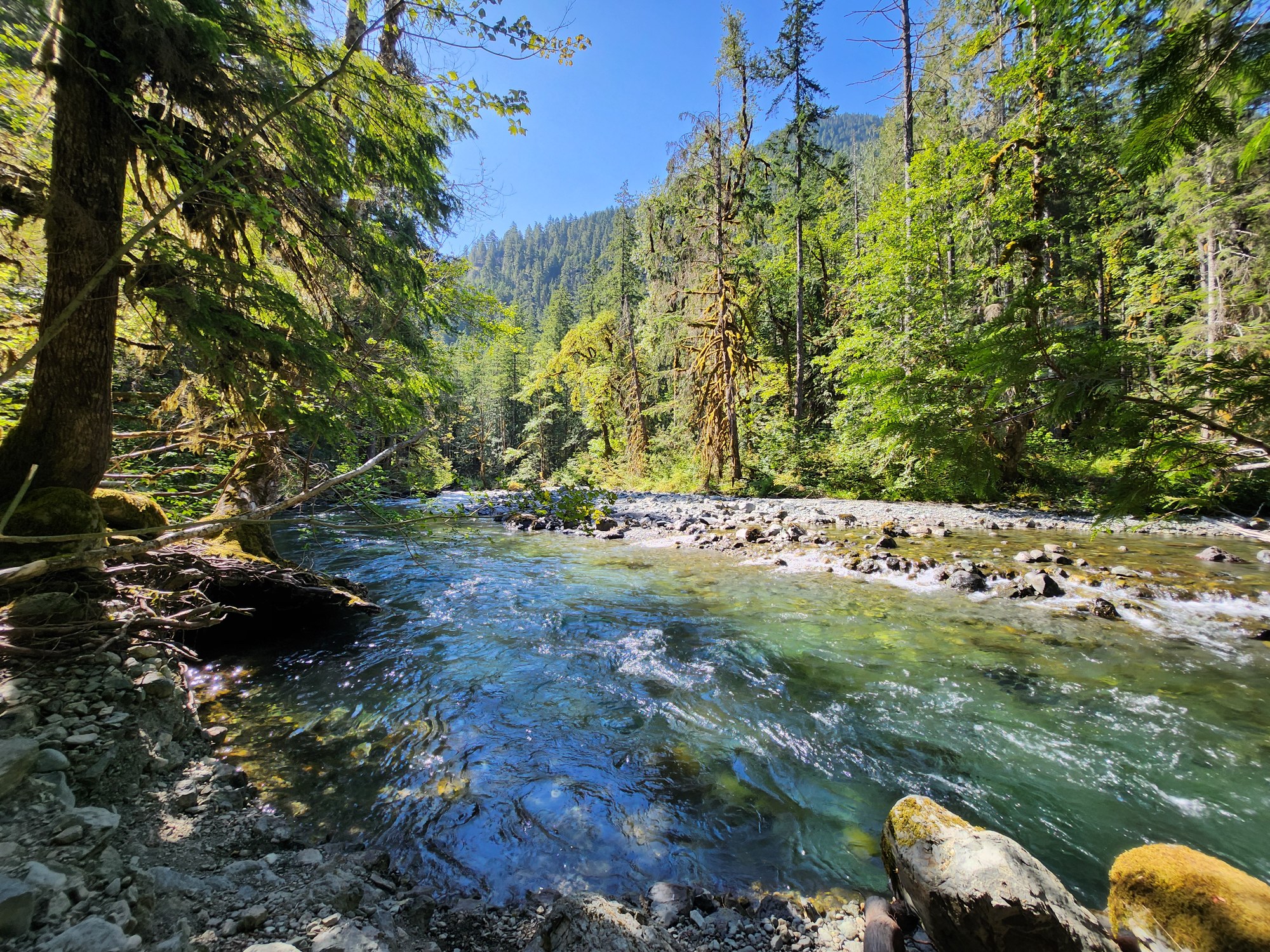 Backpack - Duckabush River — The Mountaineers