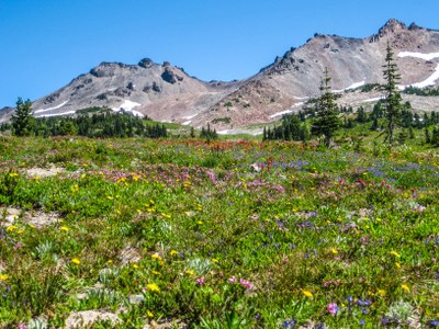 Backpack - Lily Basin, Snowgrass Flat, Cispus Basin & Elk Pass — The ...