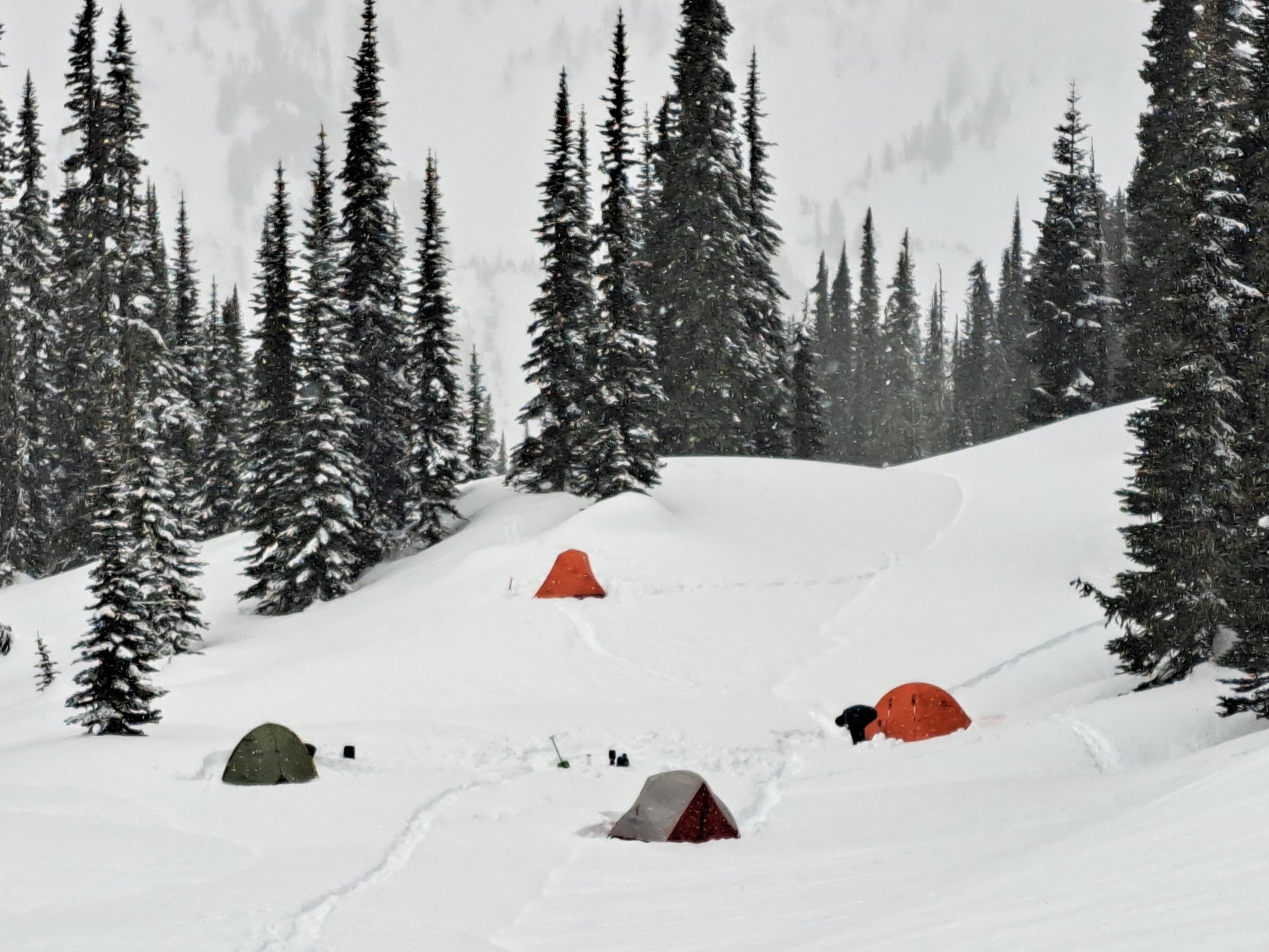 Backpack - Mazama Ridge (Mount Rainier) — The Mountaineers