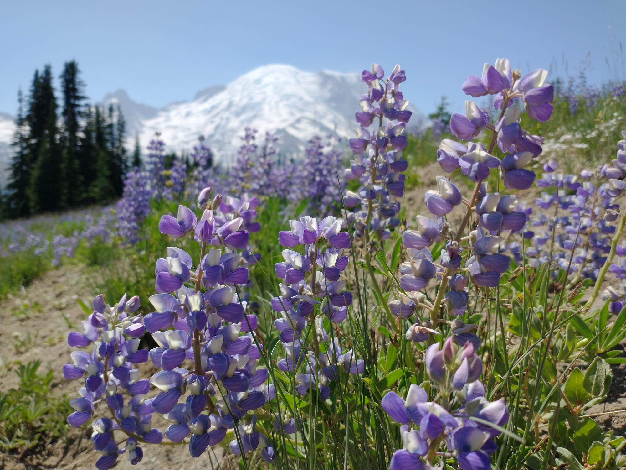 Backpack - Northern Loop — The Mountaineers