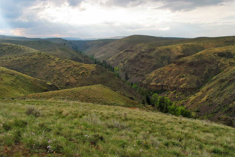 Backpack - Umtanum Creek Canyon — The Mountaineers
