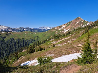 Backpack - White Pass, Blue Lake & Pilot Ridge Loop — The Mountaineers