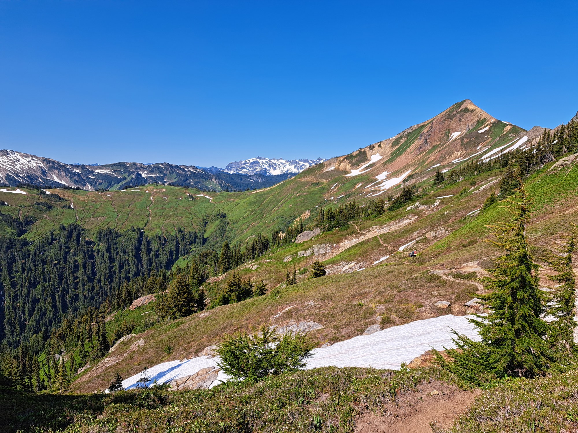 Backpack - White Pass, Blue Lake & Pilot Ridge Loop — The Mountaineers