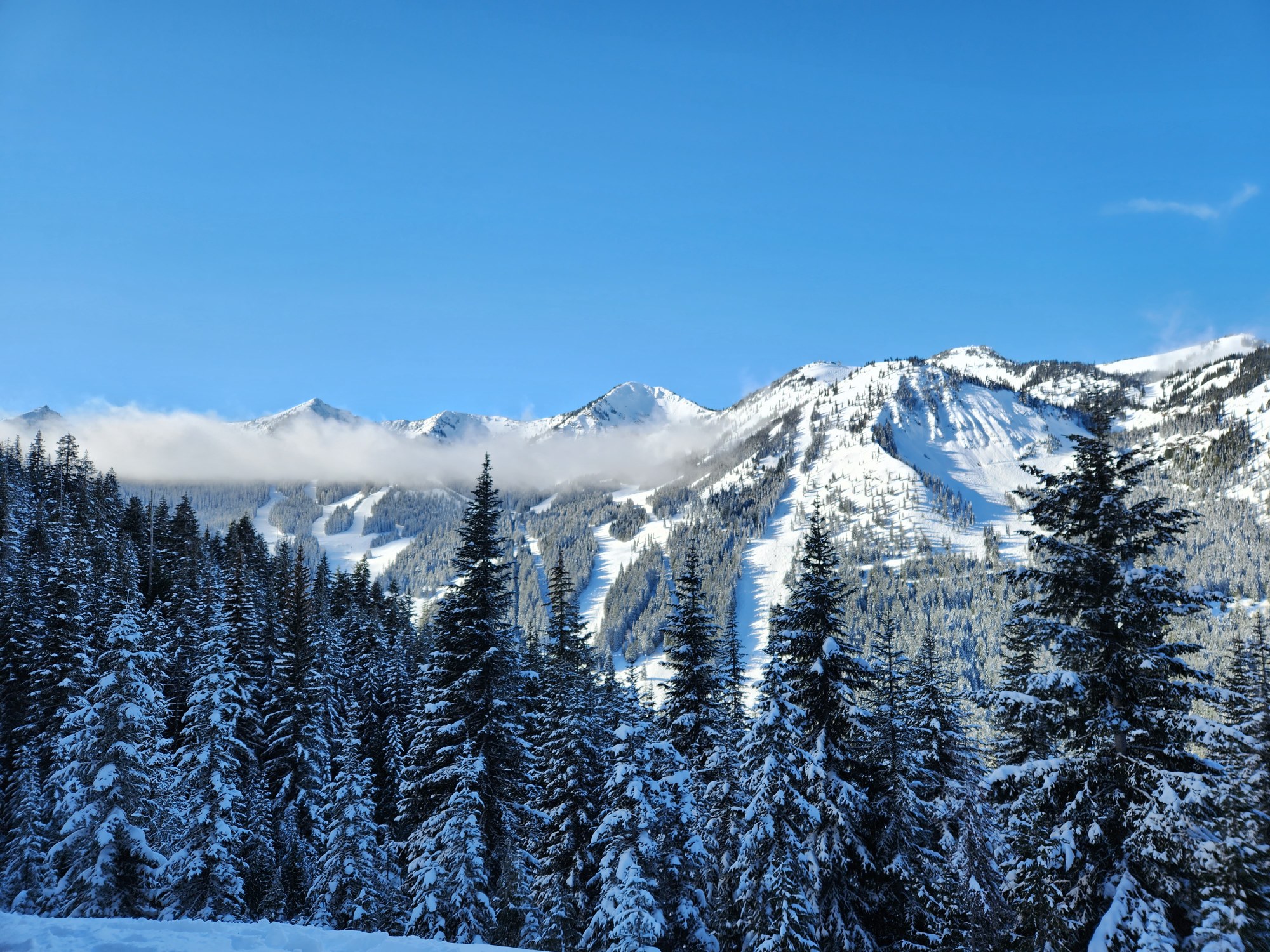Basic Snowshoe - Bullion Basin — The Mountaineers