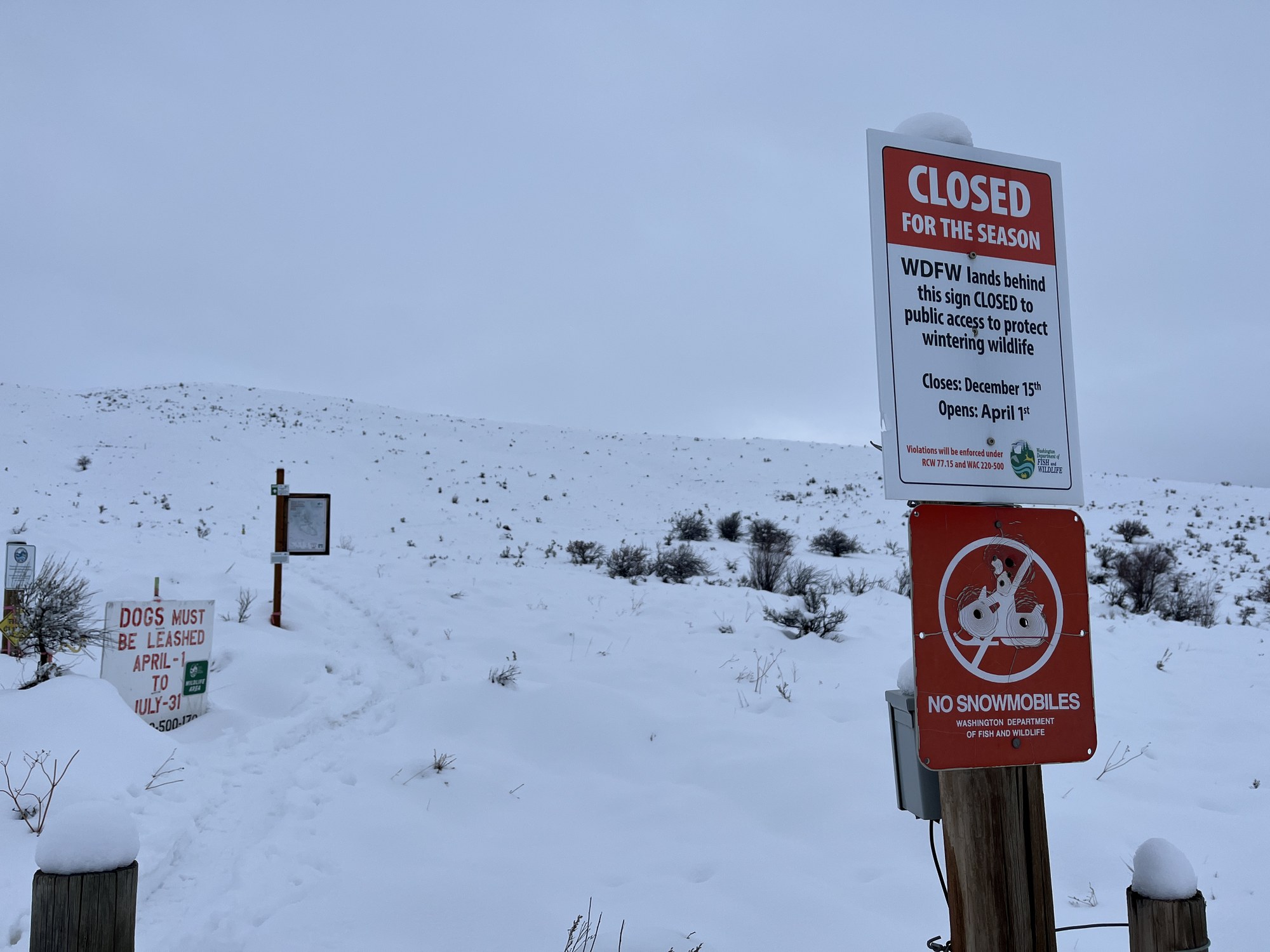 Basic Snowshoe - Loup Loup South Summit Nordic Trails — The Mountaineers