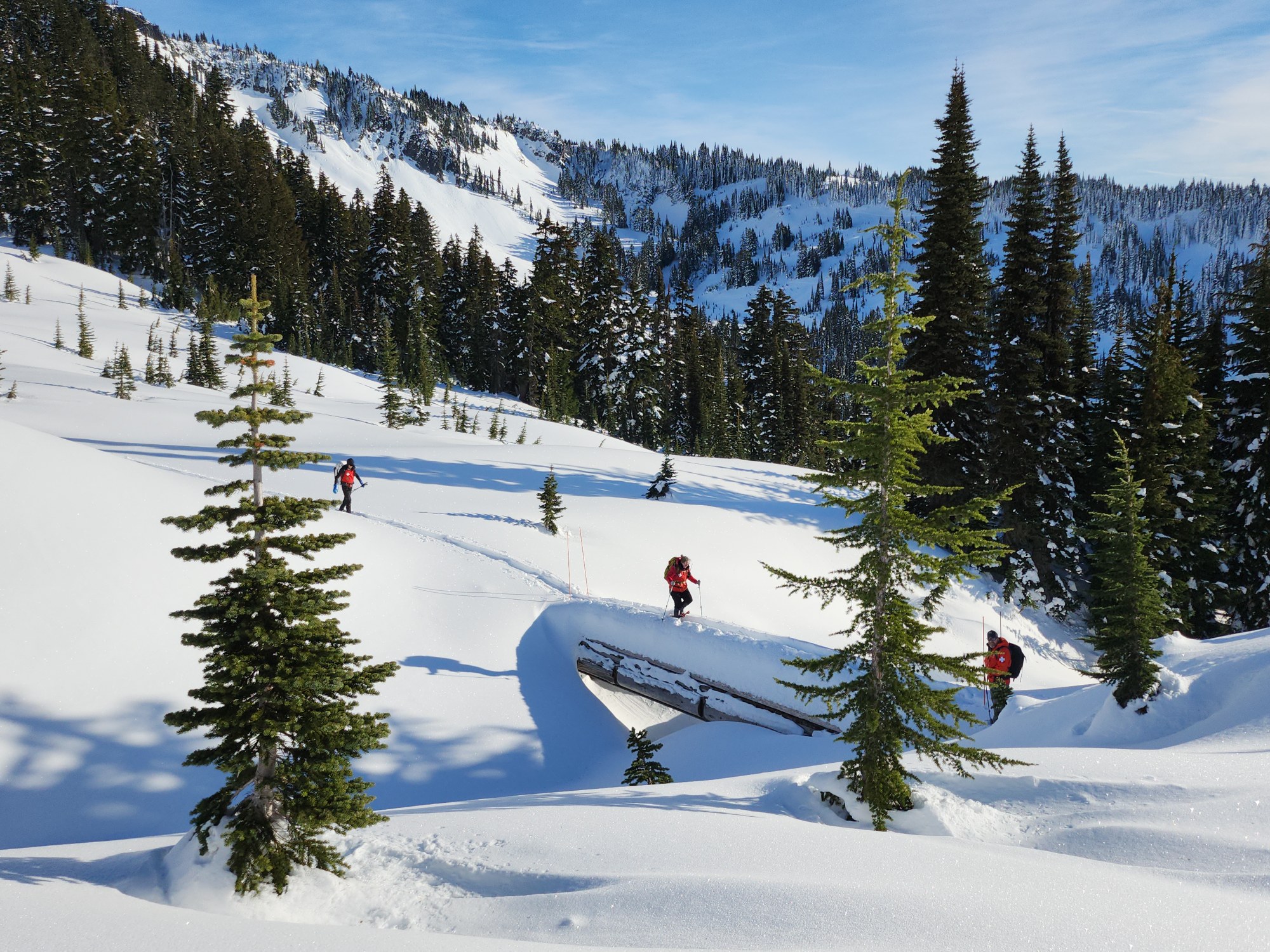 Beginner Snowshoe - Paradise — The Mountaineers