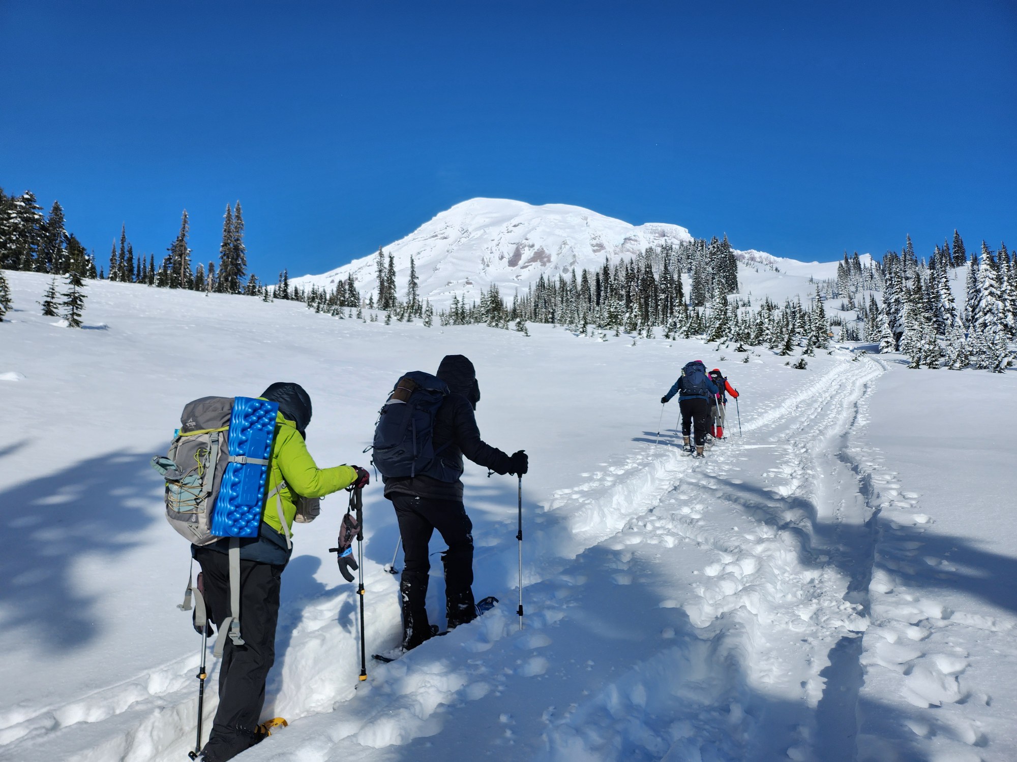 Beginner Snowshoe - Paradise — The Mountaineers