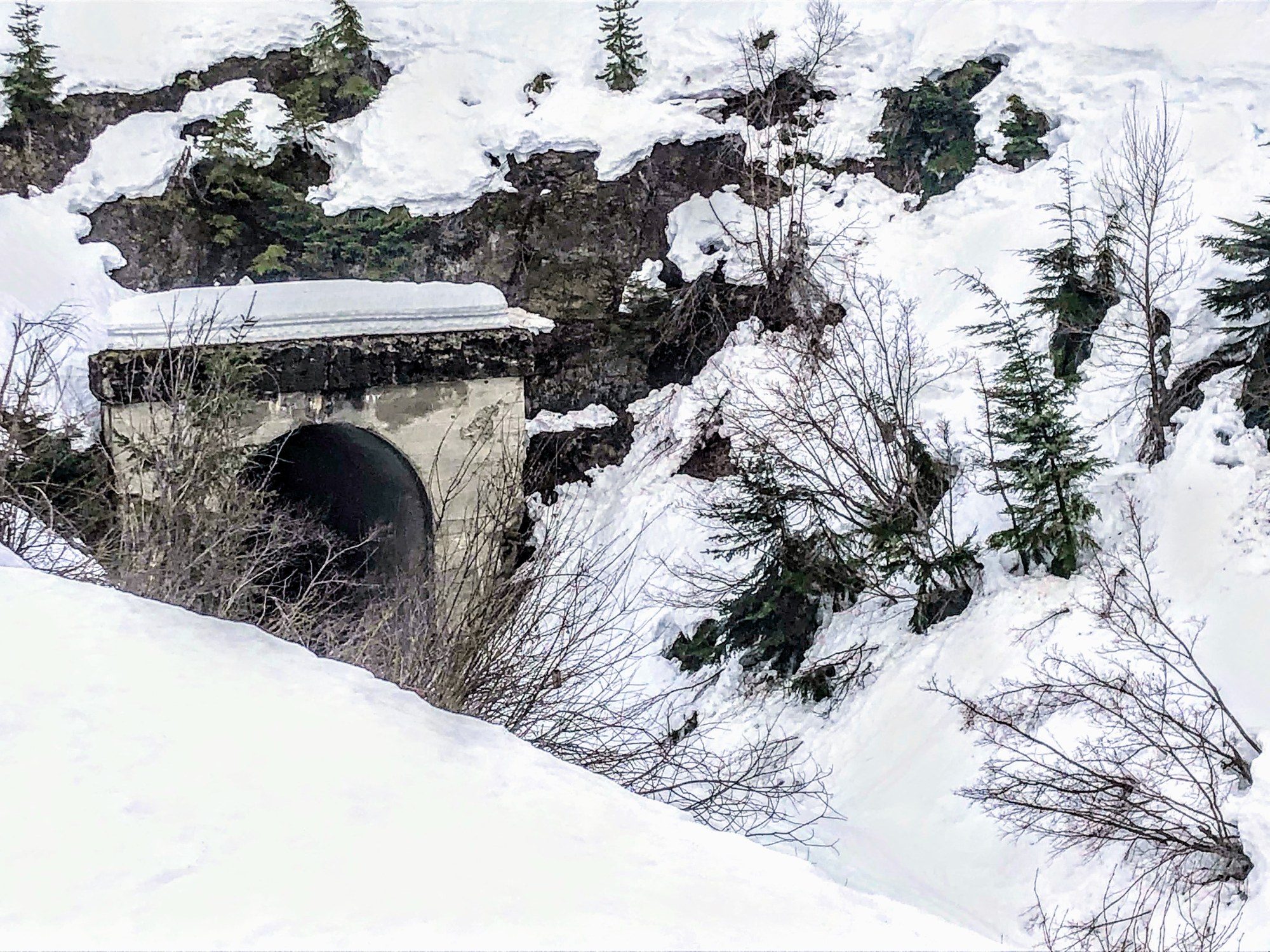 Cross-country Ski - Crystal Springs Dog Sled Trails — The Mountaineers