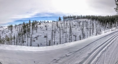 Cross-country Ski - Echo Ridge — The Mountaineers