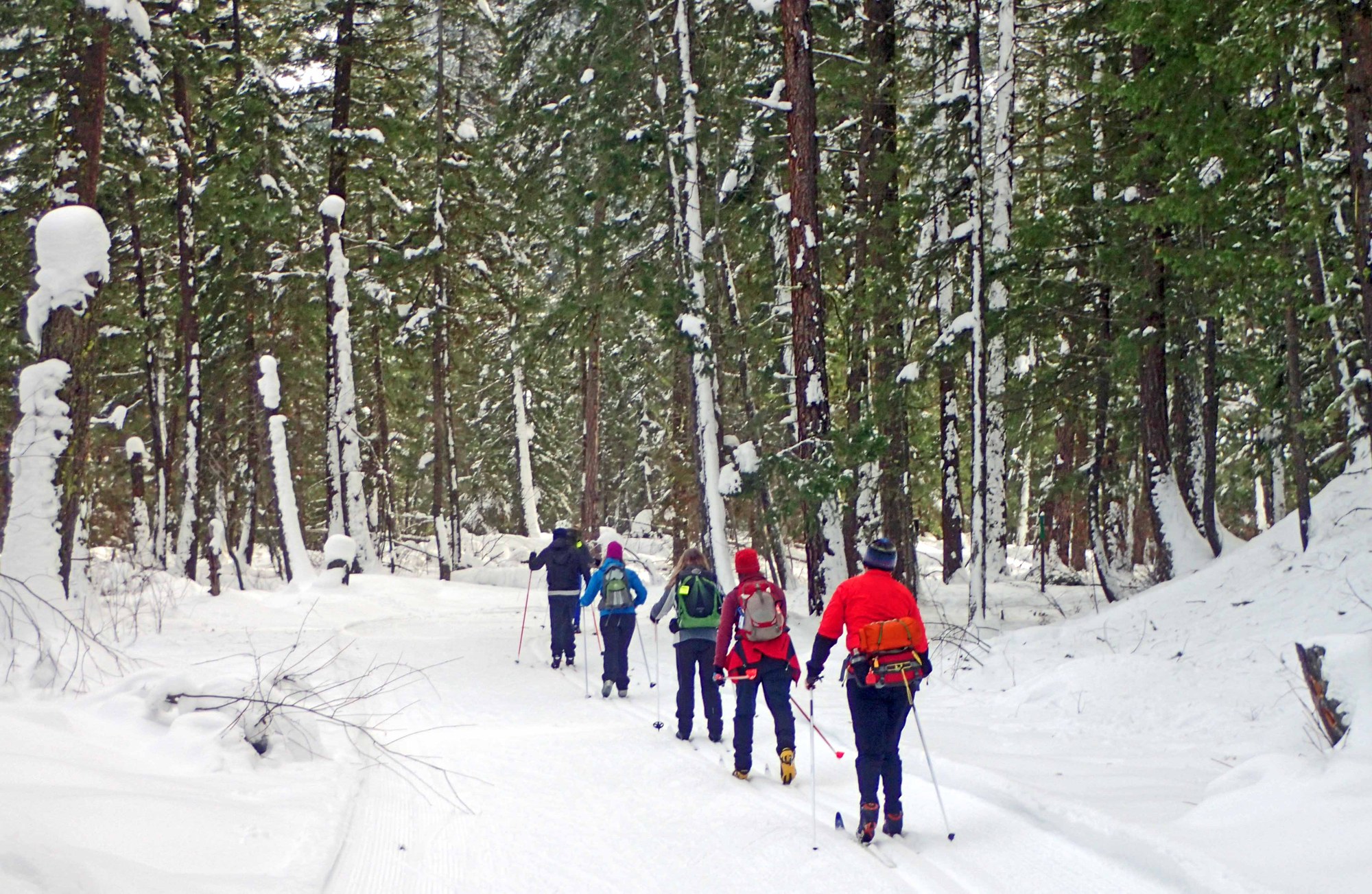 Cross-country Ski - Mazama Trails — The Mountaineers