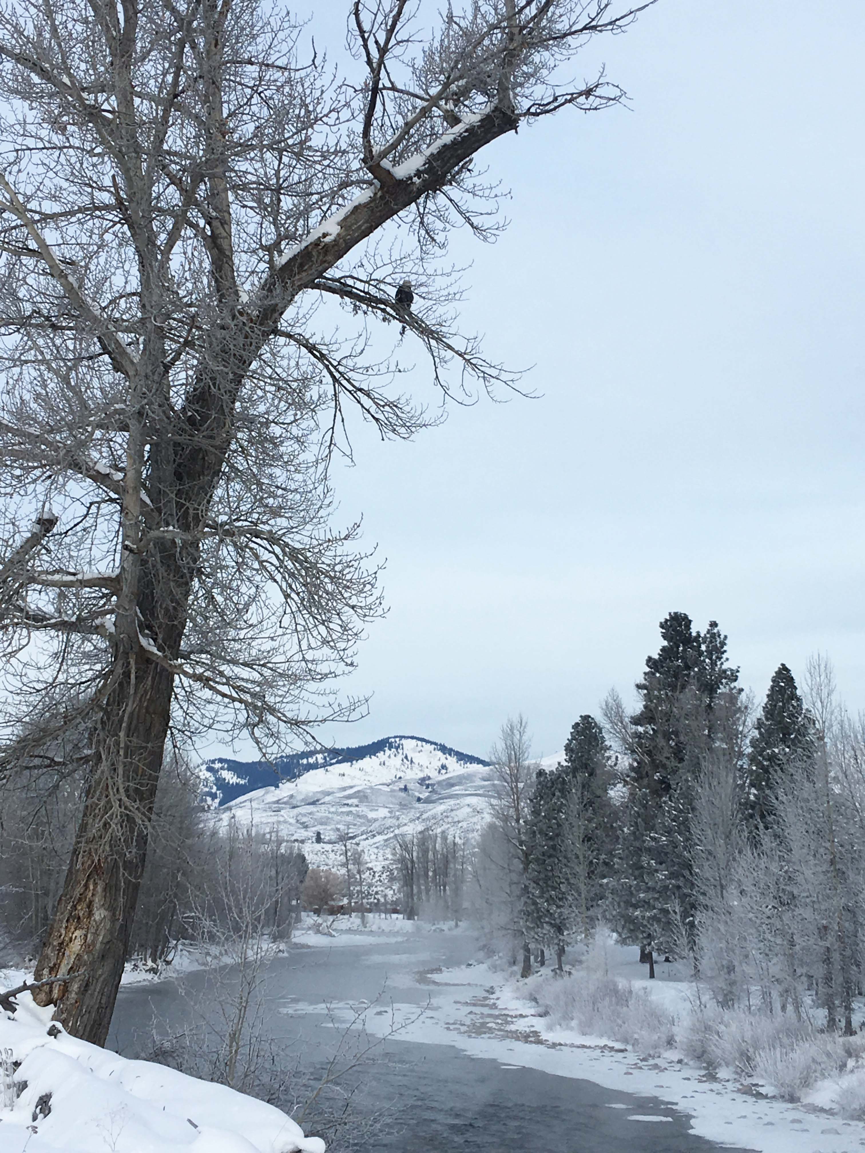 Cross-country Ski - Methow Valley Winter Trails — The Mountaineers
