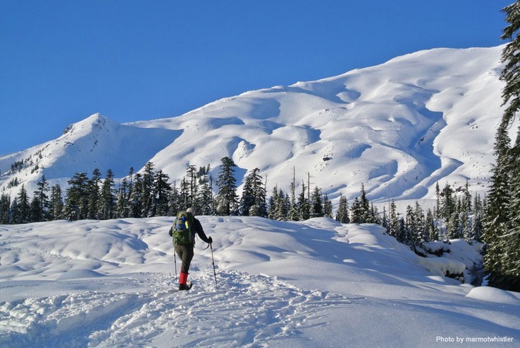 Cross-country Ski - Sasquatch Loops — The Mountaineers