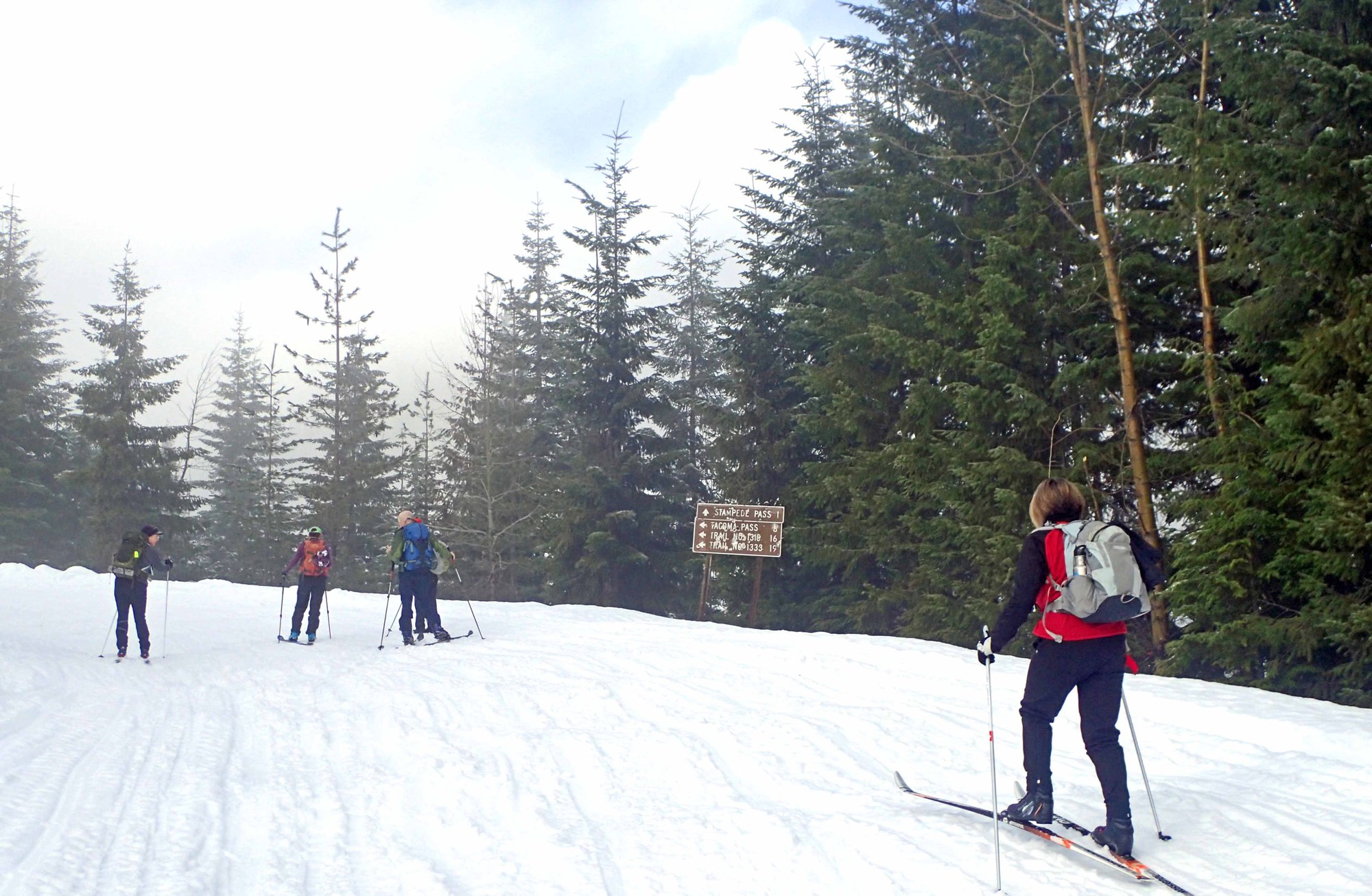 Cross-country Ski - Stampede Pass — The Mountaineers
