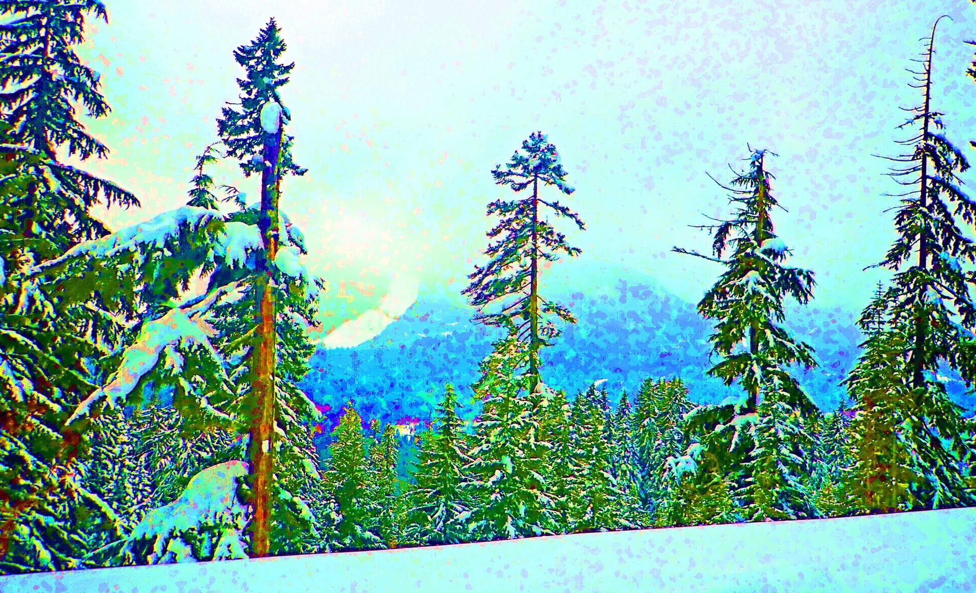 Cross-country Ski - Stampede Pass — The Mountaineers