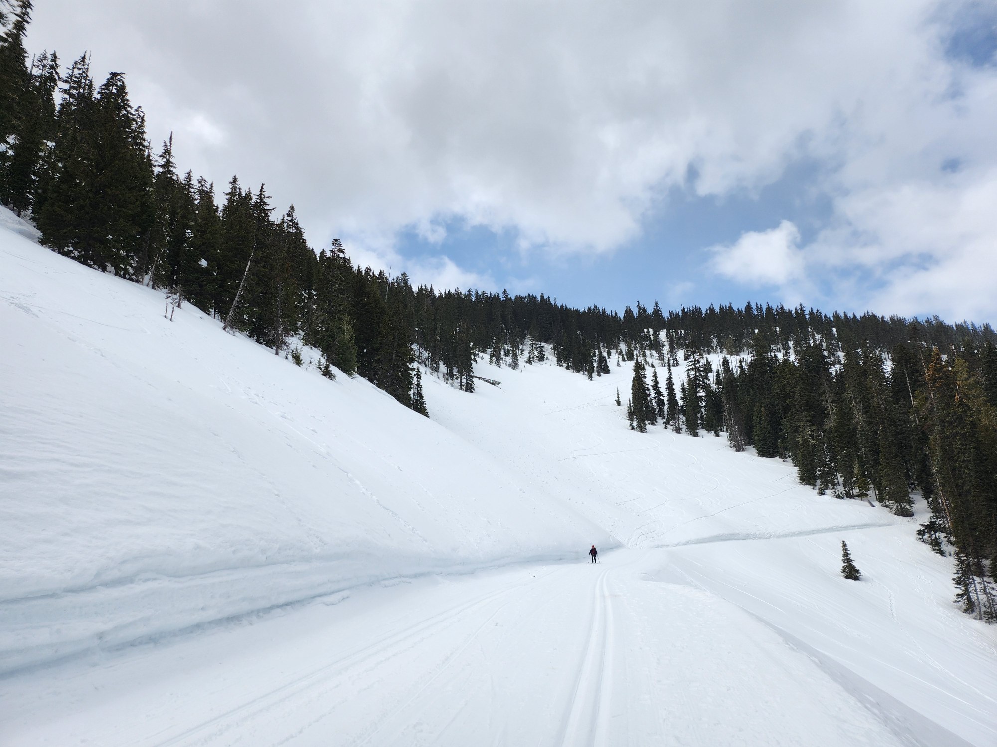 Cross-country Ski - White Pass Nordic Center — The Mountaineers