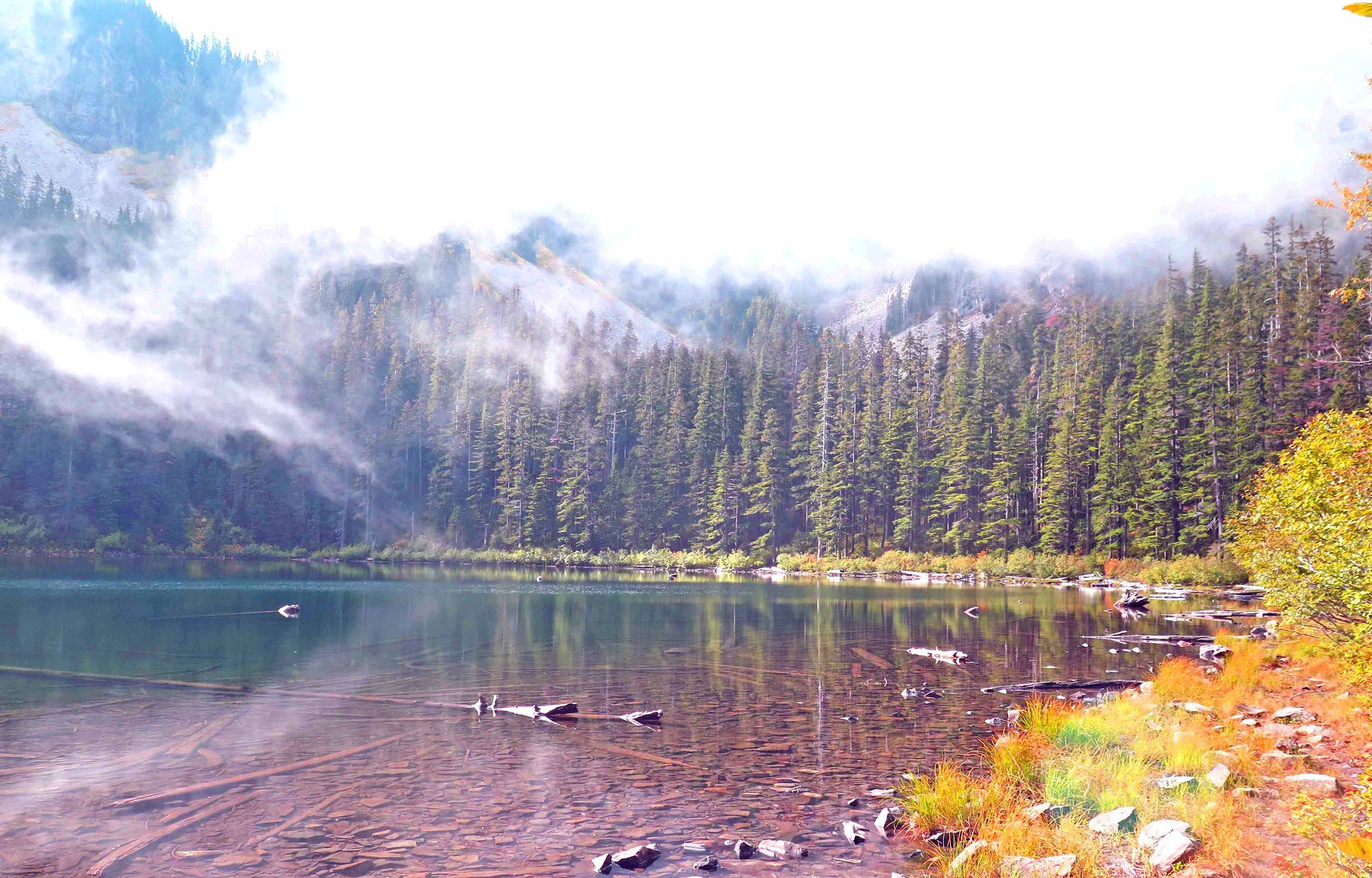 Day Hike - Annette Lake — The Mountaineers