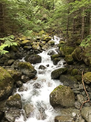 Day Hike - Big Creek Loop — The Mountaineers