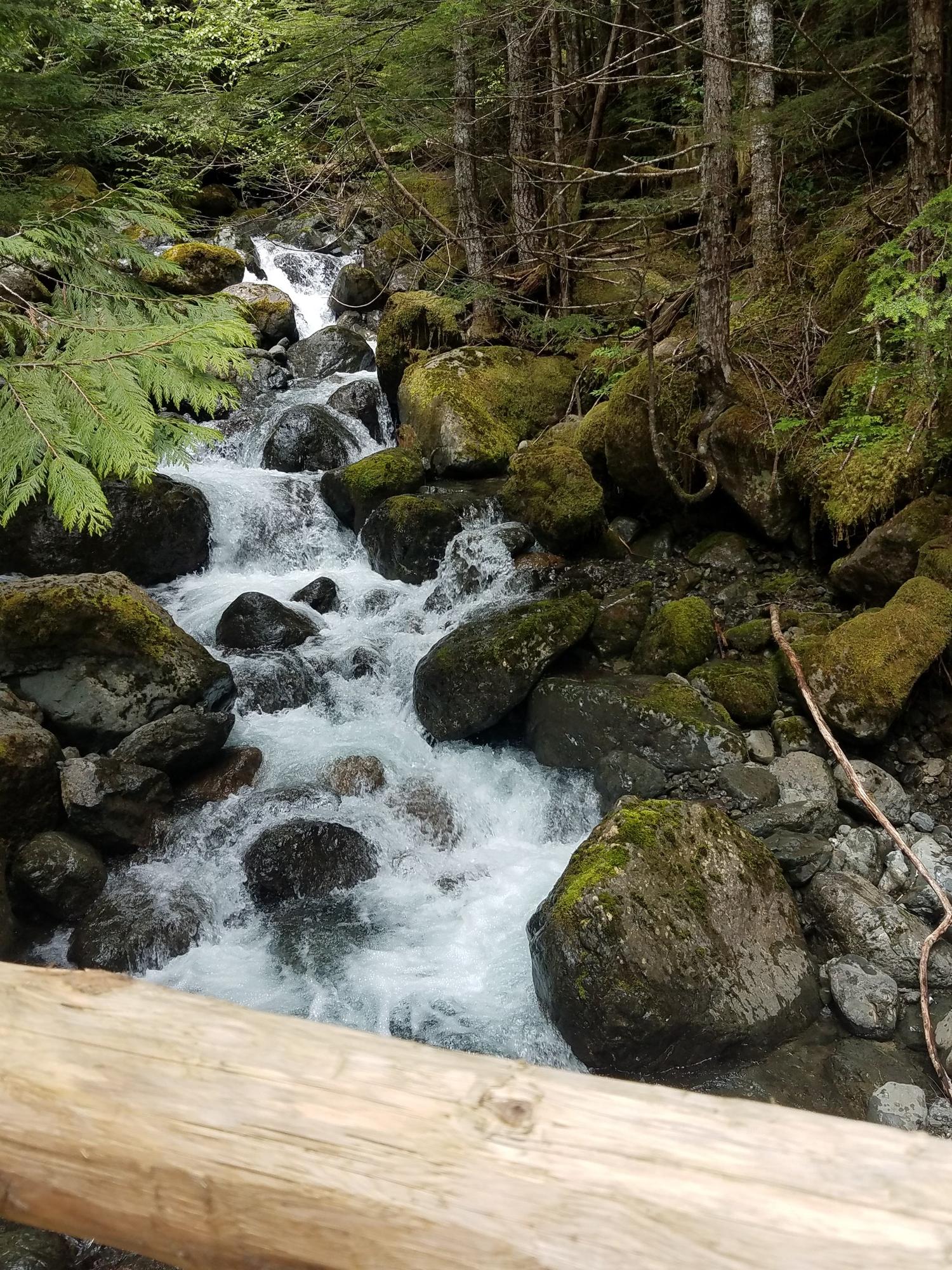 Day Hike - Big Creek Loop — The Mountaineers