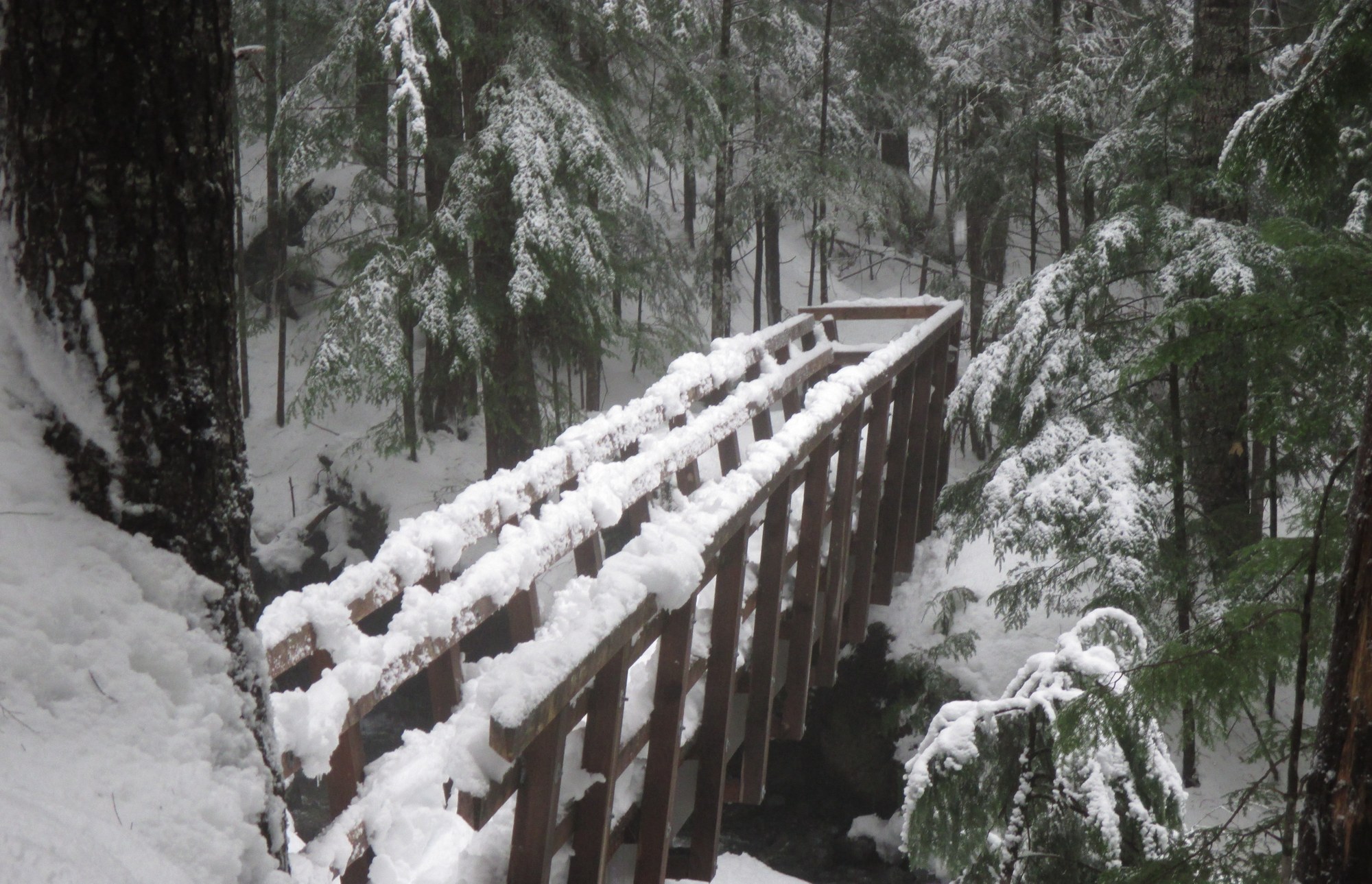Day Hike - Big Creek Loop — The Mountaineers