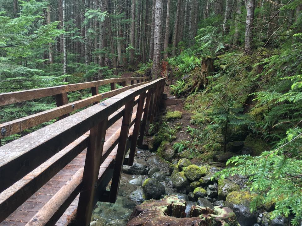 Day Hike - Big Creek Loop — The Mountaineers