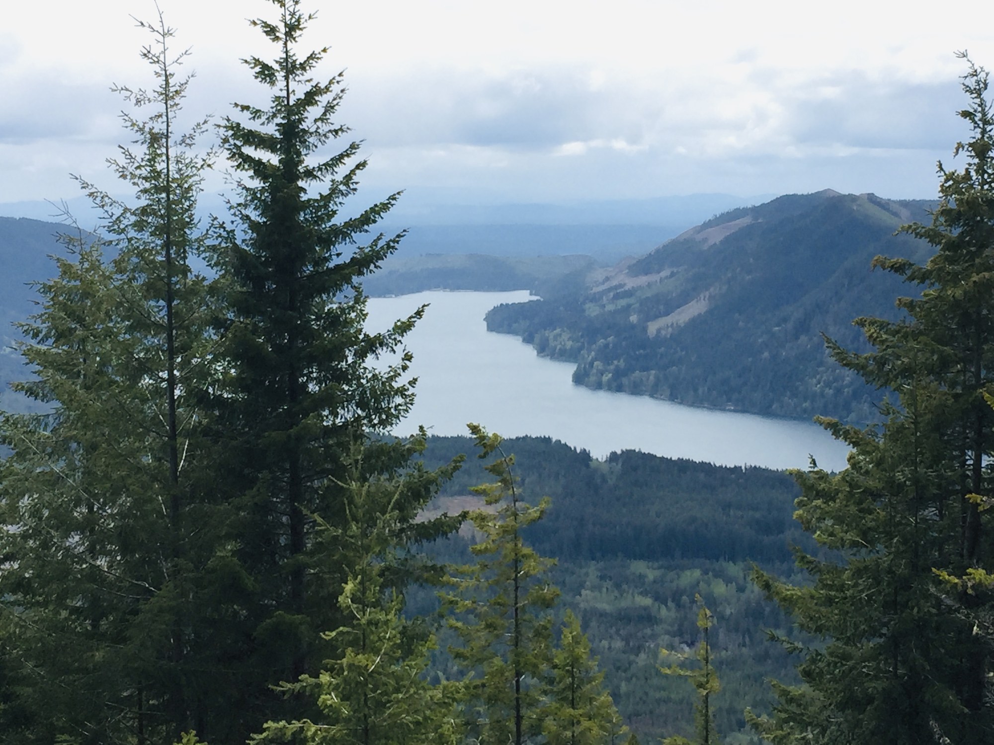 Day Hike - Big Creek Loop — The Mountaineers