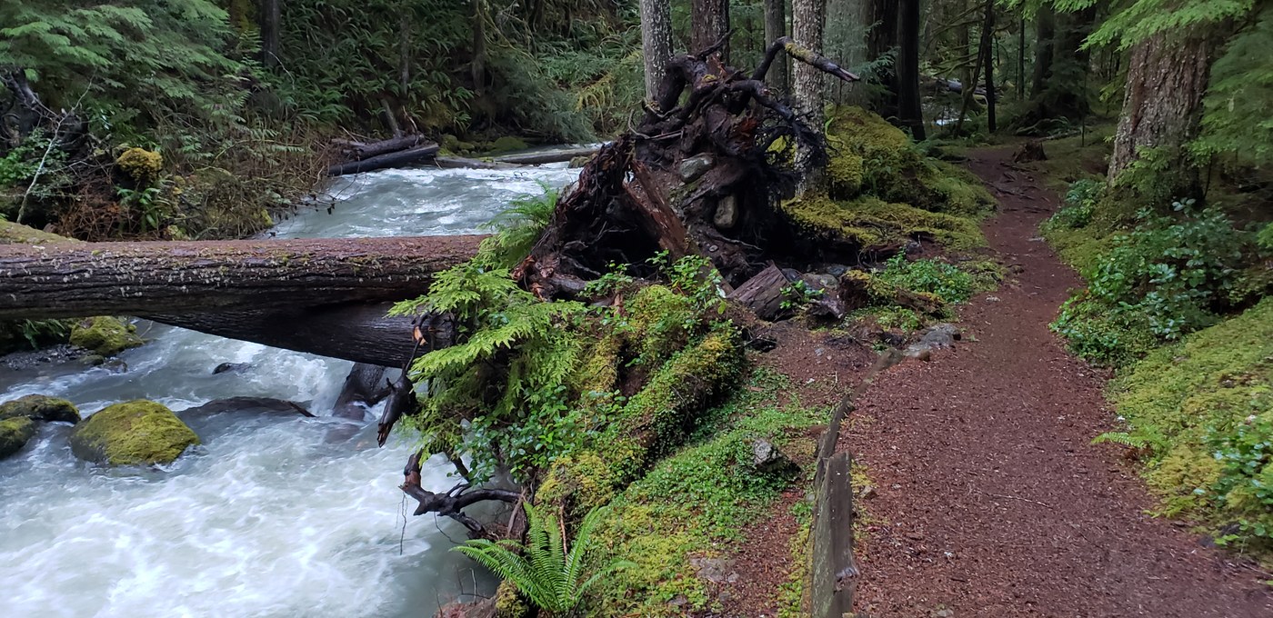 Day Hike - Big Creek Loop — The Mountaineers