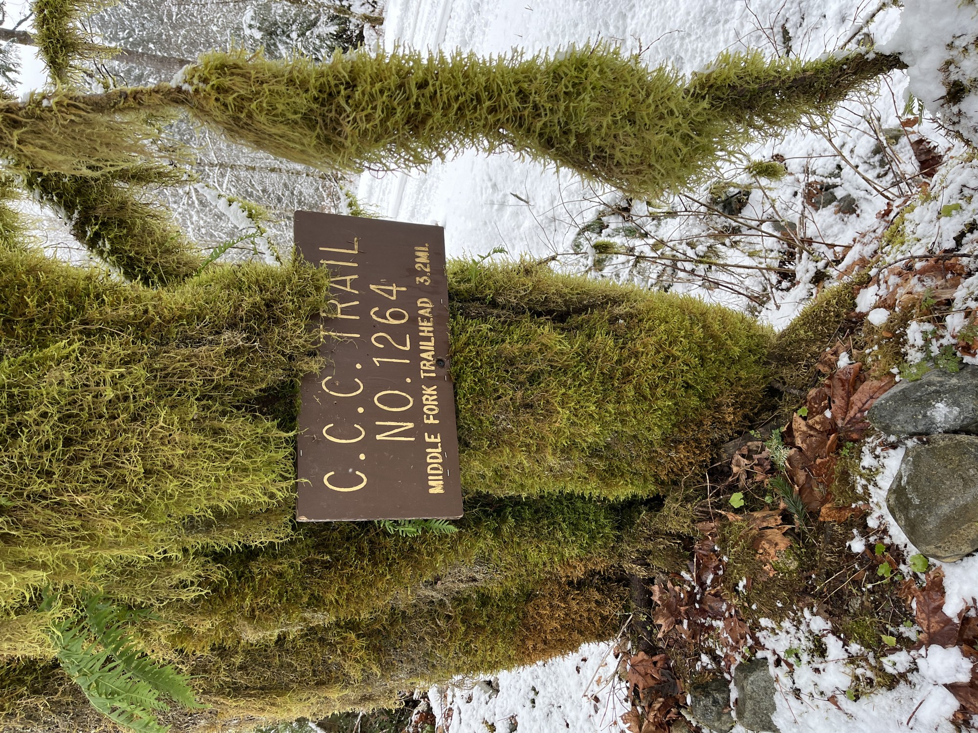 Day Hike - CCC Trail — The Mountaineers