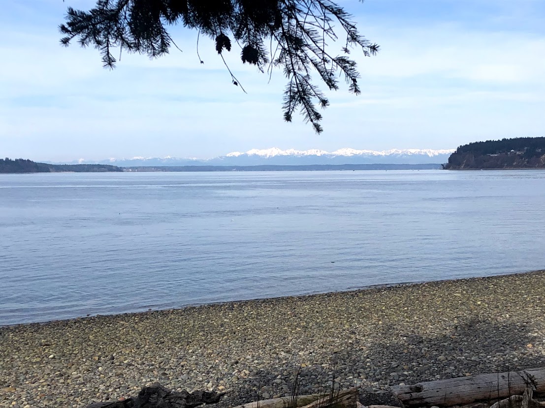 Day Hike - Chambers Bay Golf Course Trail — The Mountaineers