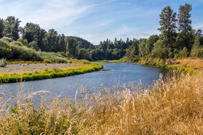 Day Hike - Chehalis River Discovery Trail — The Mountaineers