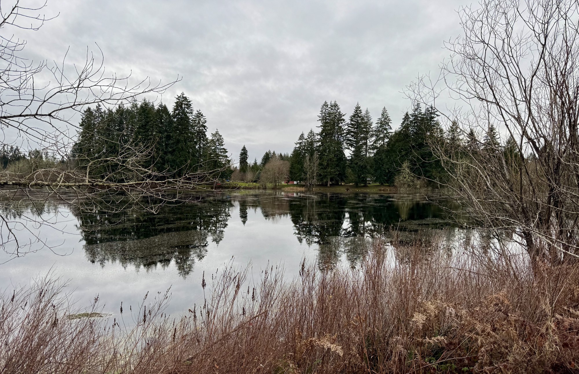 Day Hike - Chehalis Western Trail — The Mountaineers