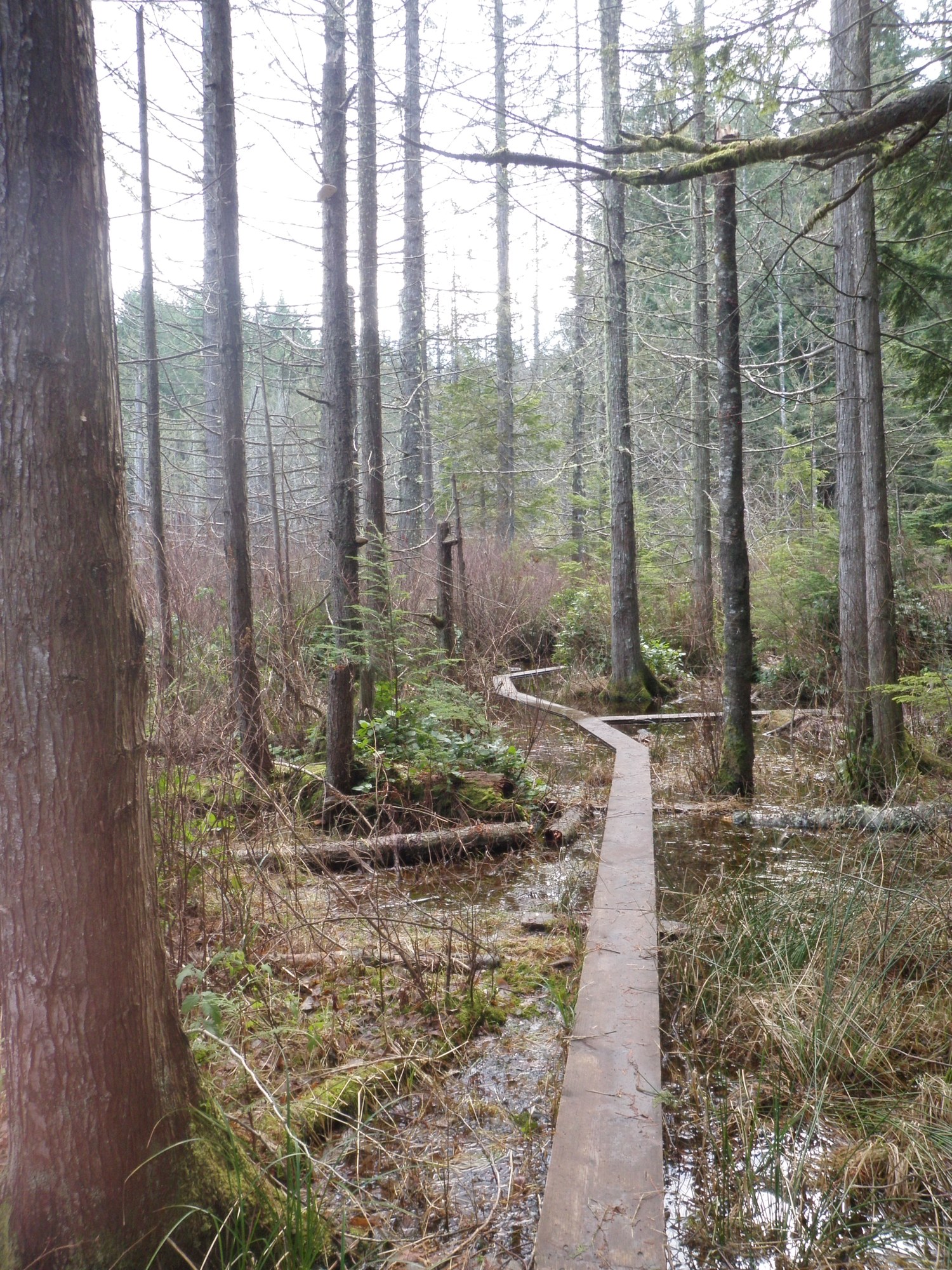 Day Hike - Chuckanut Ridge Loop — The Mountaineers