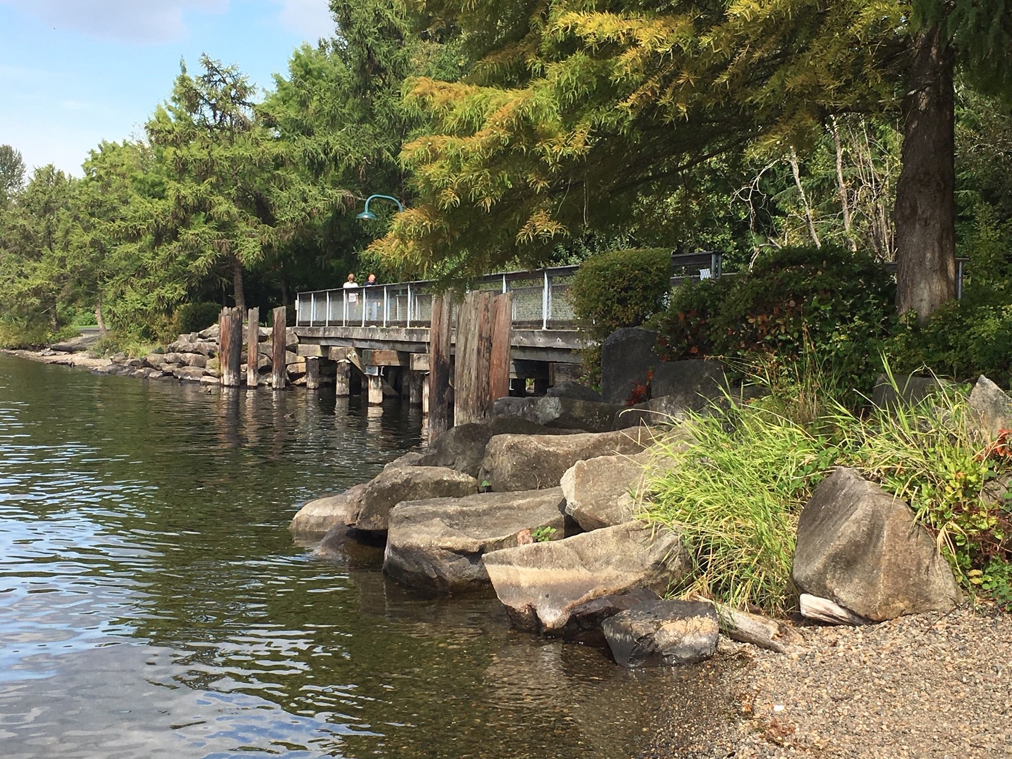 Day Hike - Circumambulating Lake Washington — The Mountaineers