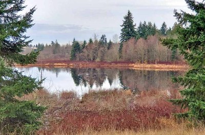 Day Hike - Clark Lake Park — The Mountaineers