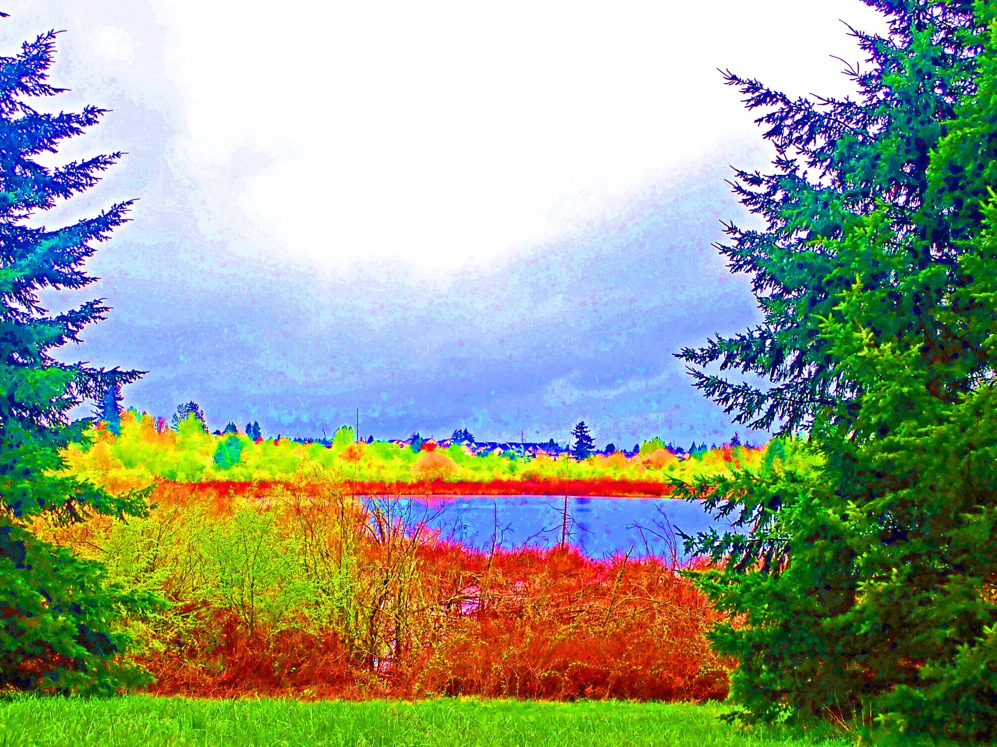 Day Hike - Clark Lake Park — The Mountaineers