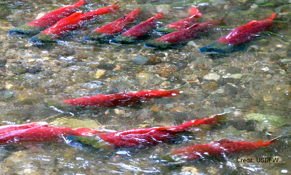 Day Hike - Cle Elum Lake — The Mountaineers
