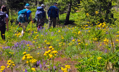 Day Hike - Cle Elum Ridge—Teanaway Ridge — The Mountaineers